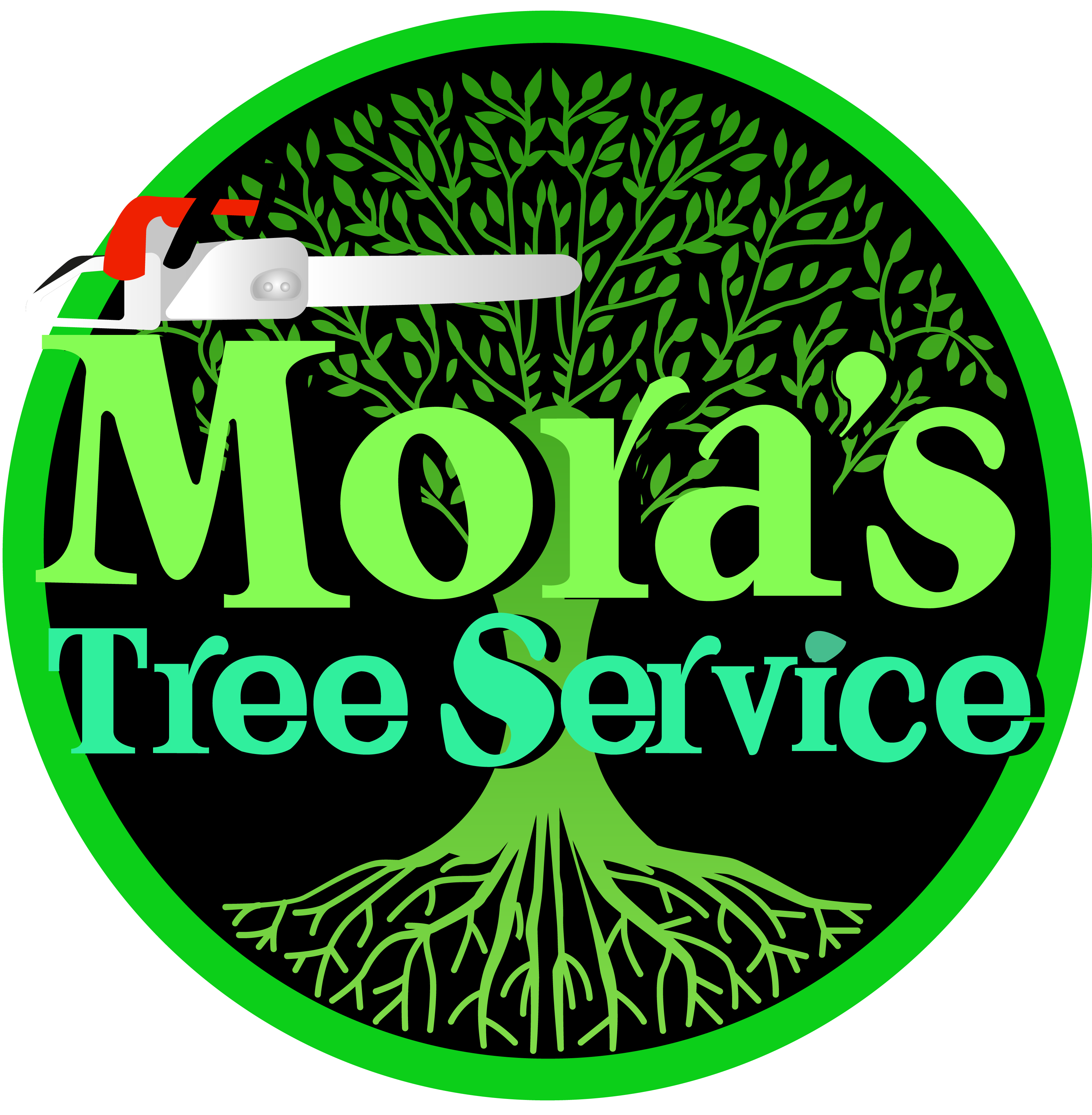 Tree Services in Atlanta | Mora’s Tree Services - Mora's Tree Service