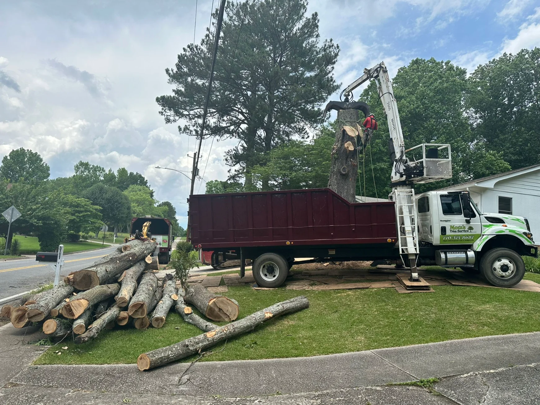 Tree Services in Atlanta | Mora’s Tree Services - Mora's Tree Service
