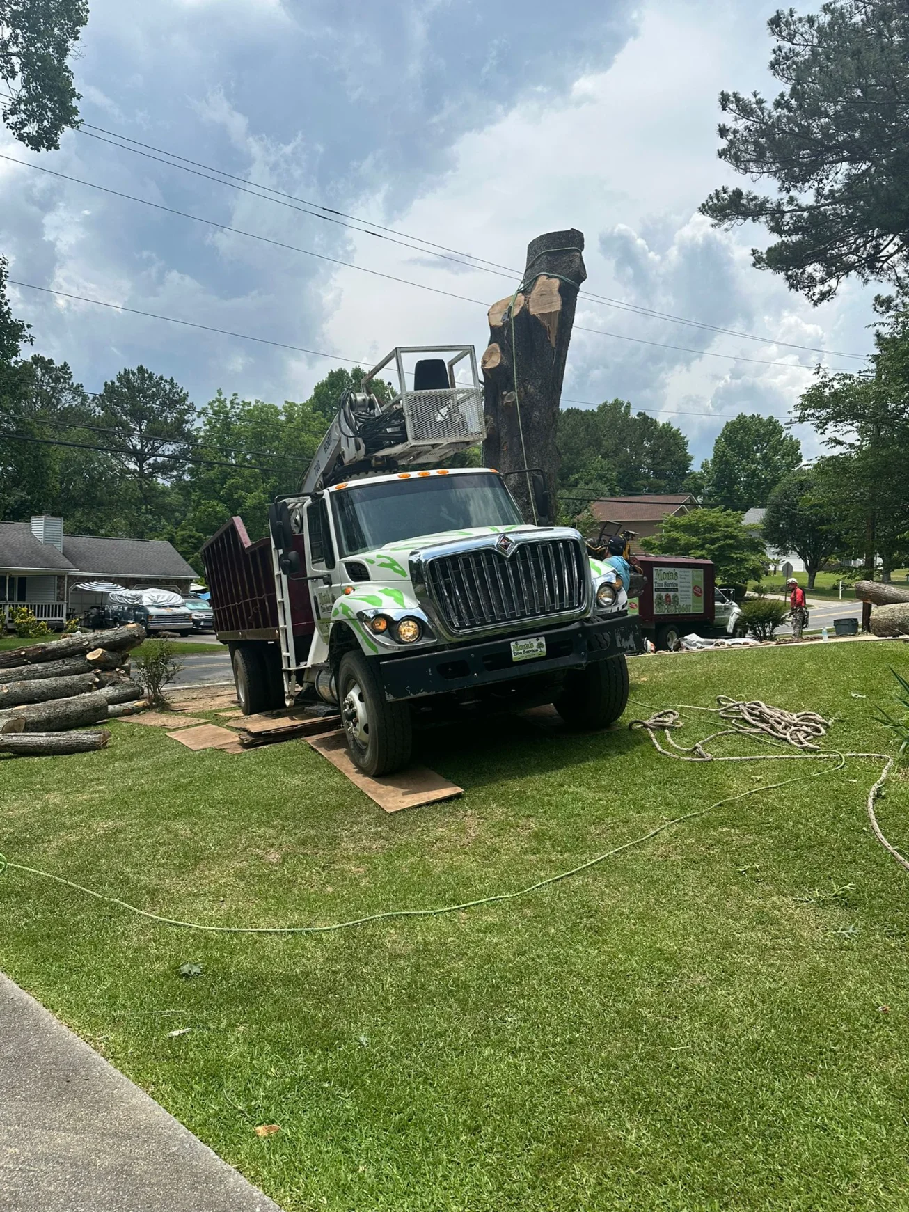 Tree Services in Atlanta | Mora’s Tree Services - Mora's Tree Service